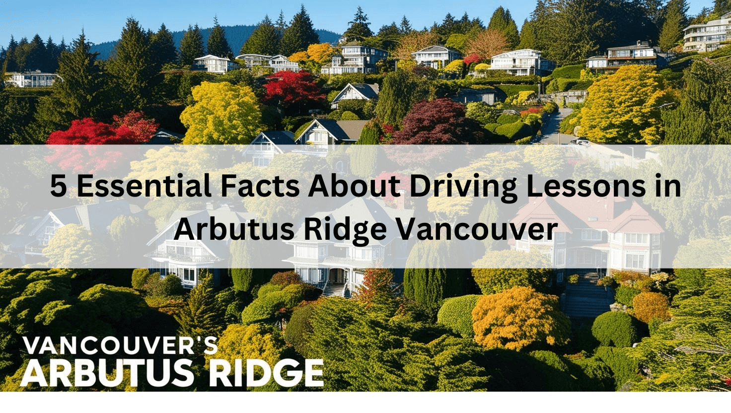5 Keys to Unlock Success with Driving Lessons in Arbutus Ridge Vancouver